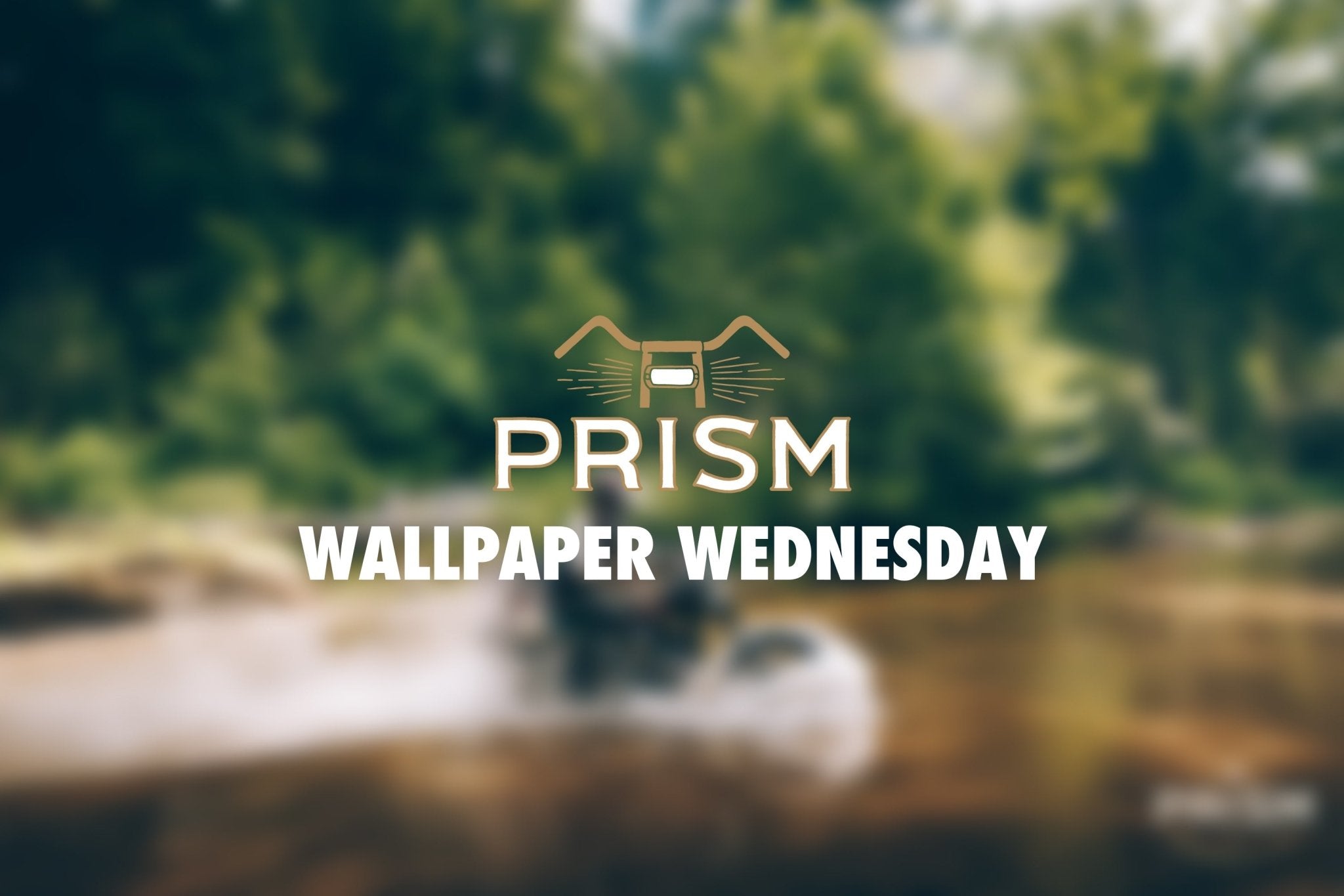 Wallpaper Wednesday - Vintage 1,000 – Prism Supply